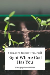 5 Reasons to Root Yourself Right Where God Has You - Phylicia Masonheimer