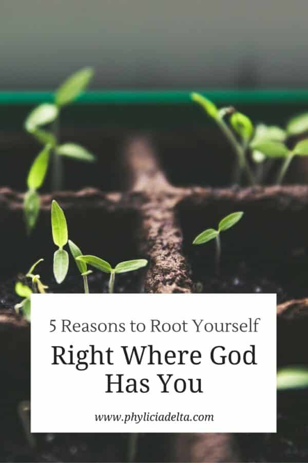 5 Reasons to Root Yourself Right Where God Has You - Phylicia Masonheimer