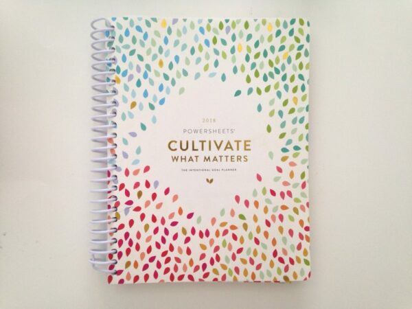 My Secret to Achieving My Goals Every Single Year - Phylicia Masonheimer